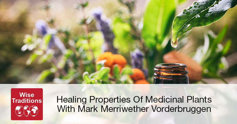 Healing Properties Of Medicinal Plants