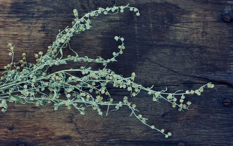 Herbal Bitters: As Crucial as Salt in the Modern Kitchen - The Weston A ...