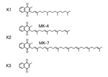 Vitamin K2 MK-4: Dr. Price’s Activator X and Its Transformational ...