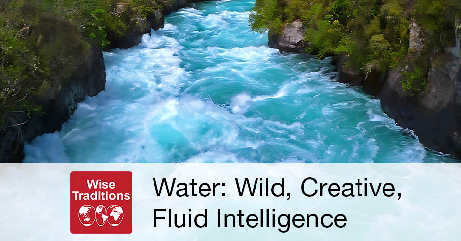 Water: Wild, Creative, Fluid Intelligence