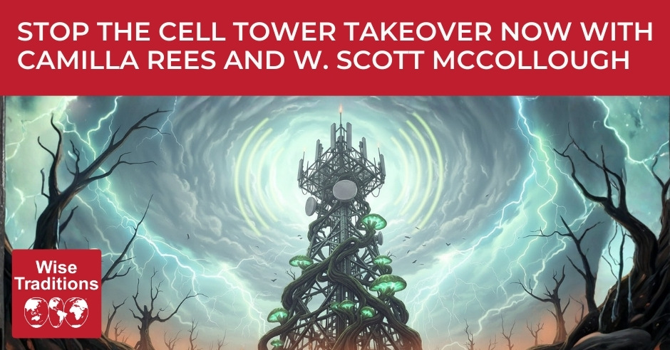 Stop The Cell Tower Takeover Now With Camilla Rees And W. Scott McCollough