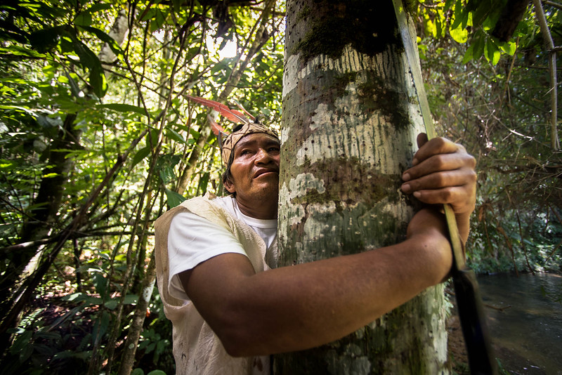 Machiguenga: Peruvian Hunter-Gatherers - The Weston A. Price Foundation