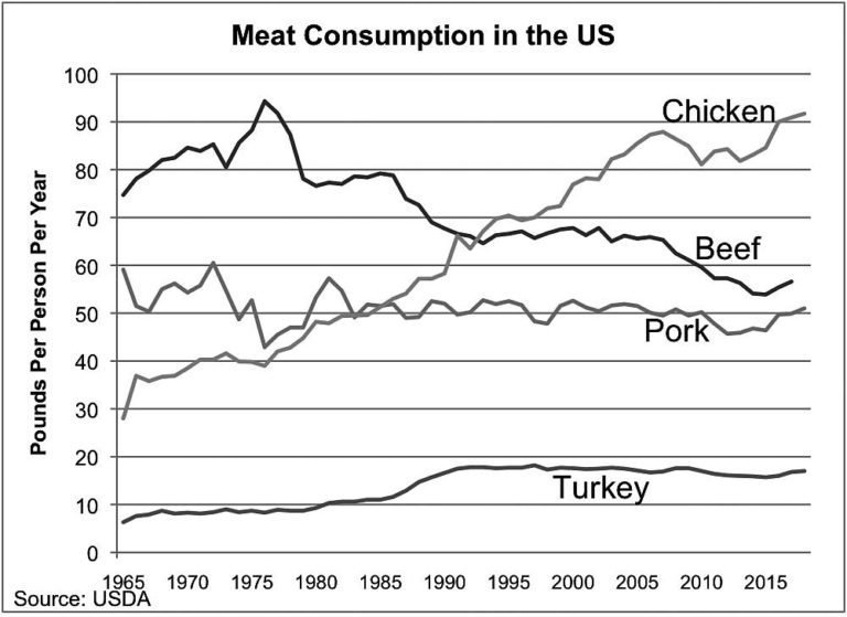 The Chicken: A Brief History of America's Most Consumed Meat - The ...